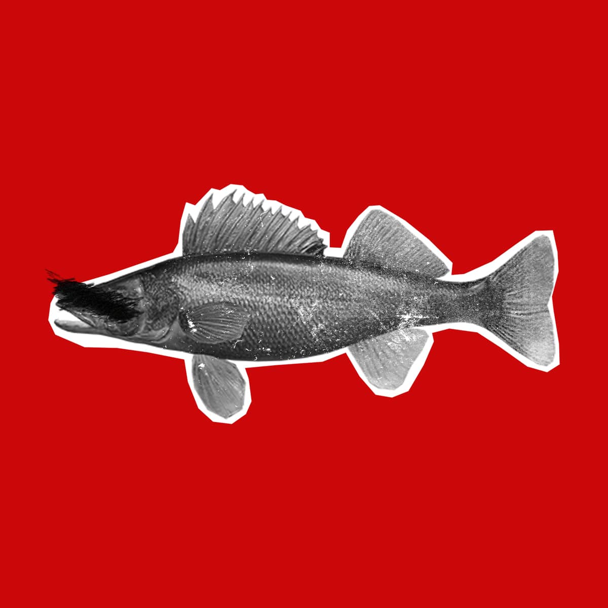 Bonus 35: The Anglers - Swindled